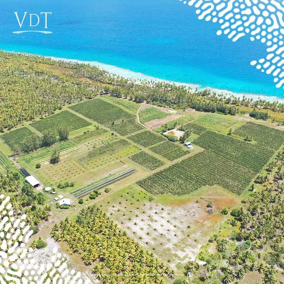 Vin de Tahiti Blanc de Corail - La Boutique du Monoi