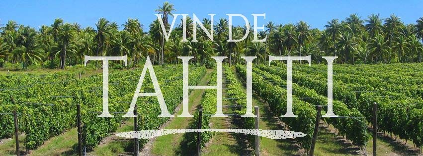 A RANGIROA, ON PRODUIT LES VINS DE TAHITI DE DOMINIQUE AUROY
